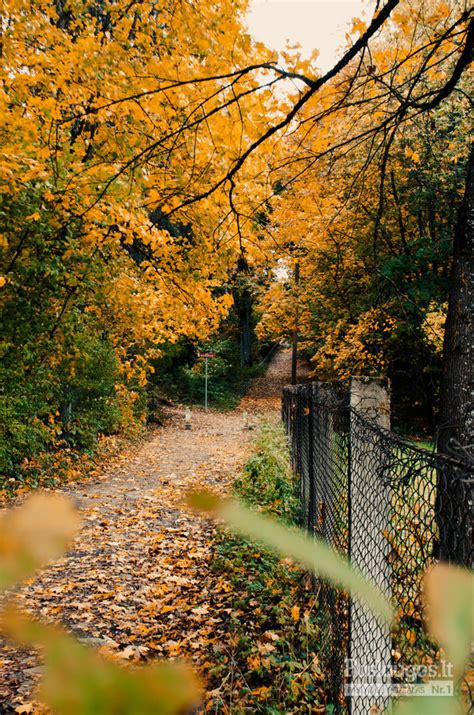 Oleksandr Kovalenko Vilnius Fotografas Aš Nekalbu Lietuviškai Darbų