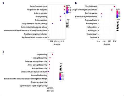 Enrichment Analysis Of 80 Differentially Expressed Prognostic Genes