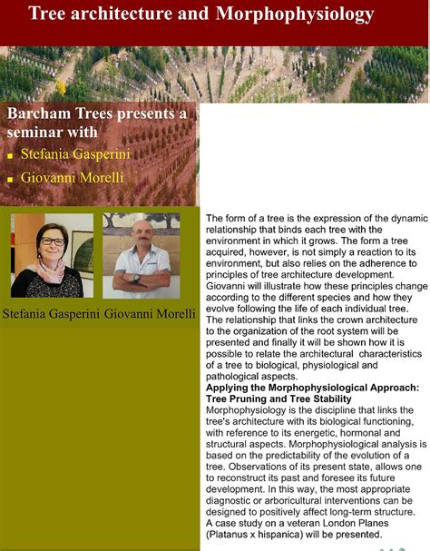 Tree Architecture And Morphophysiology