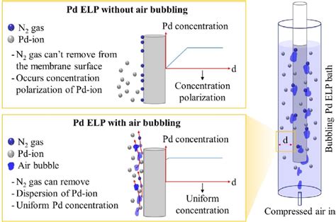 Schematic Of Bubble Injection Elp Method Download Scientific Diagram