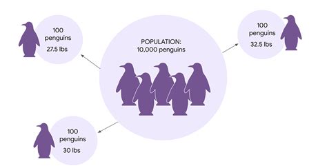 Construct A Confidence Interval For A Small Sample Size