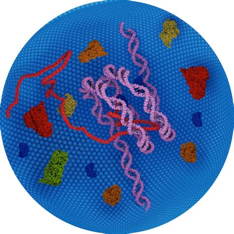 Biotech Website Designer Robbie Moore Stellar Biotech Design