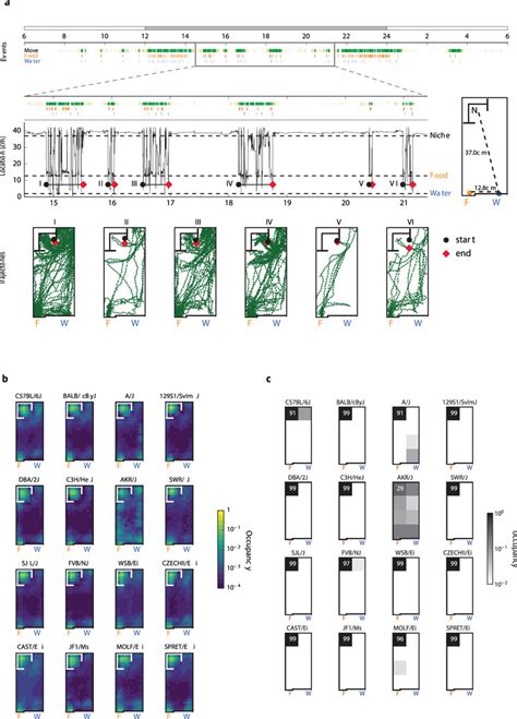 Spatial And Temporal Organization Of Mouse Behavior Figure 1a Top Download Scientific