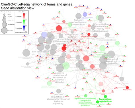 Cytoscape App Store Cluego