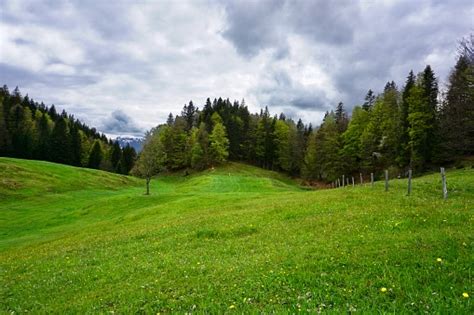 눈 덮인 알프스 기슭의 산책 눈 덮인 알프스와 아름다운 구름 알프스 초원을 통해 알프스 산책 밝은 녹색 초원과 그 사이의 길 경관에 대한 스톡 사진 및 기타 이미지 Istock