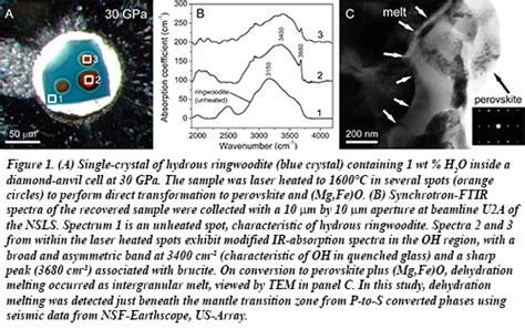 Dehydration Melting In The Deep Cdac