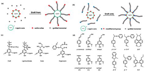 Recent Advances In Antioxidant Polymers From Sustainable And Natural