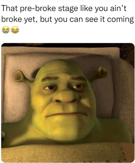 Meme Hub Marriage No Sex Adulting Life Humor True Funny Photo Captions