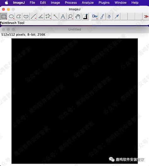 兼容m1 m2芯片 imagej 1 53k for mac版本 软件安装包下载 安装教程步骤 苹果电脑mac系统 鹿鸣