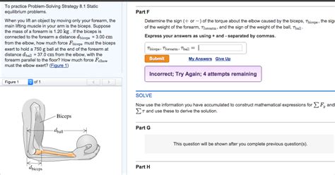 solved to practice problem solving strategy 8 1 static
