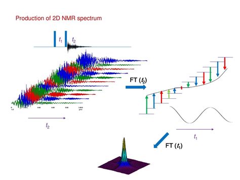 Ppt How To Analyze Of 2d Nmr Spectra Small Molecules Powerpoint Presentation Id 4176621