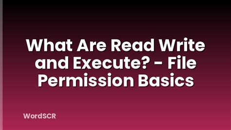 What Are Read Write And Execute File Permission Basics Wordscr