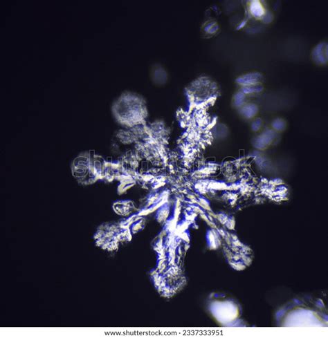 Outdoor Photo Snowflake Under Microscope Ai Generated Image 2337333951