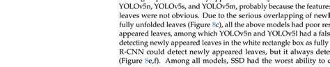 Test Results Of Leaf Detection With Different Object Detection Models