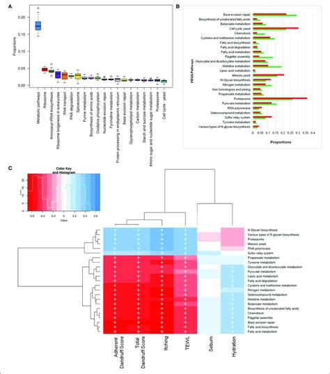 Functional Analysis Of Fungal Microbiome A Twenty Most Abundant