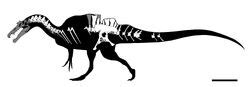 Ихтиовенатор Вымершие животные вики Fandom