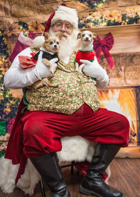 무료 이미지 개 치 행복 산타 클로스 크리스마스 이브 가상의 인물 복장 운동 단체 행사 크리스마스 트리 크리스마스 장식 엷은 황갈색 휴일 전통