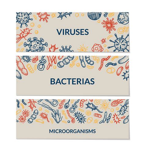 Types Of Microorganisms