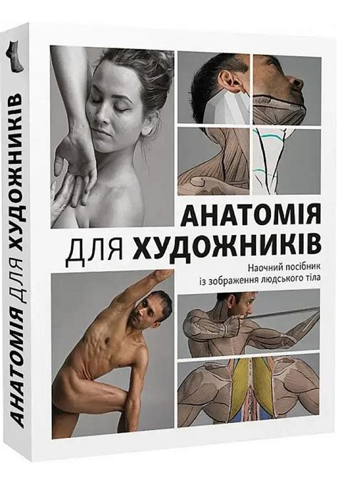 Анатомія для художників Arthuss книга купити 📚 Artalbums 9786178025212
