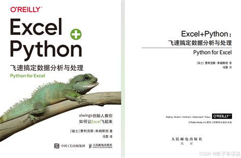 《excelpython：飞速搞定数据分析与处理》！零基础菜鸟靠它三天干翻同事，领导惊了！excelpython飞速搞定数据分析与处理 Csdn博客