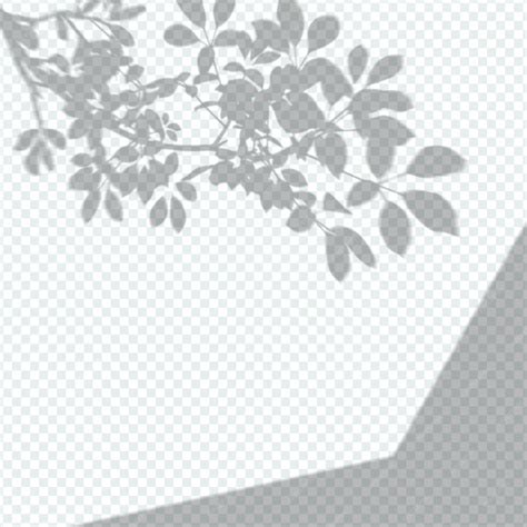 투명한 그림자 오버레이 효과 무료 벡터