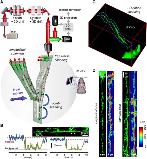 Microscope Stage Drift At Carlos Pratt Blog