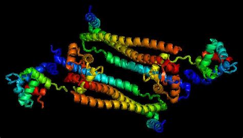 Tnnt2 Alchetron The Free Social Encyclopedia