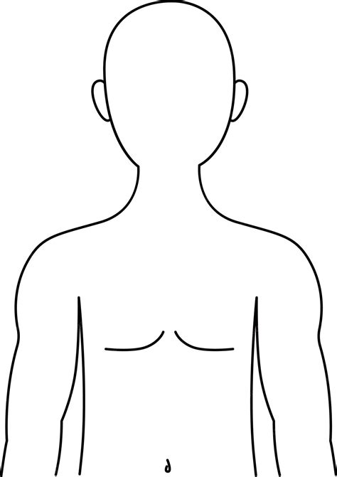 Premium Vector Human Upper Body Line Illustration