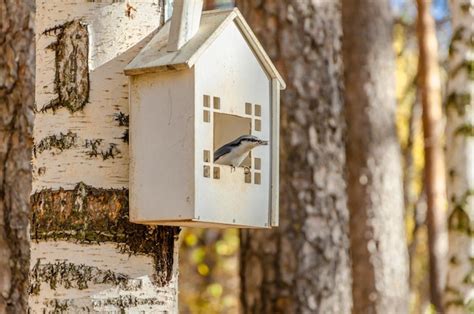 Page 4 Birdfeeder Images Free Download On Freepik
