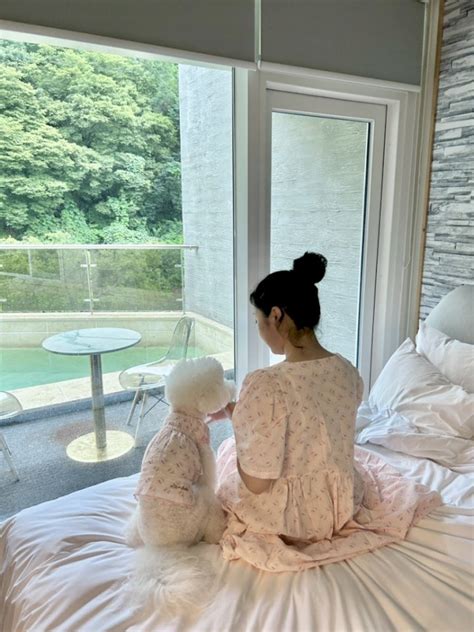 반려생활 경북 포항 애견동반 풀빌라 추천 미온수 개별수영장 펜션 포항 그랑모던 풀빌라