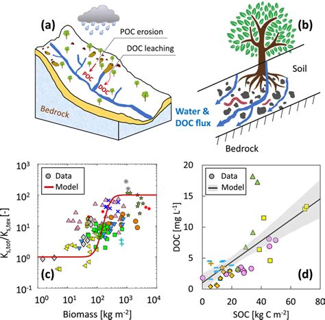 A Conceptual Illustration Of The Impacts Of Soil Structure On Download Scientific Diagram