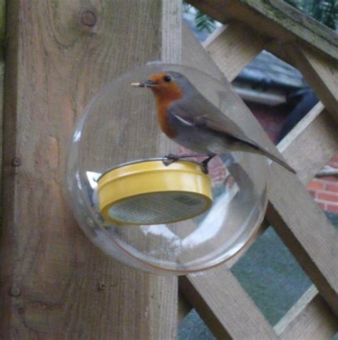 Photo Gallery Of The DIY Squirrel Proof Bird Feeder