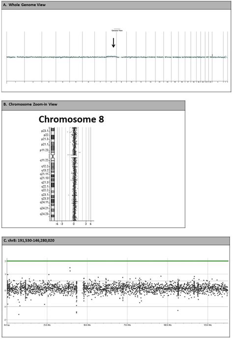 A B And C Array Comparative Genomic Hybridization On The Dna Download Scientific Diagram