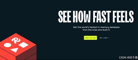 大数据 44 Redis 慢查询日志 监视器 慢查询测试学习 Csdn博客