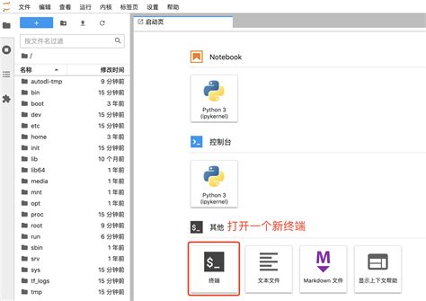 Autodl帮助文档