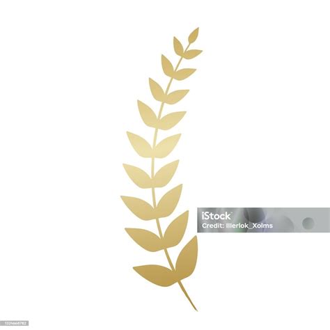 골드 월계수 가지 꽃 장식 칸막이 컬렉션 빈티지 월계수 화환 손으로 그린 벡터 월계수 장식 요소를 남깁니다 잎 소용돌이 화려한 상 아이콘 벡터 그림입니다 고대 유물에 대한