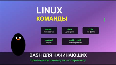 Основы Bash Структура команд и комбинирование в Linux терминале для начинающих Youtube
