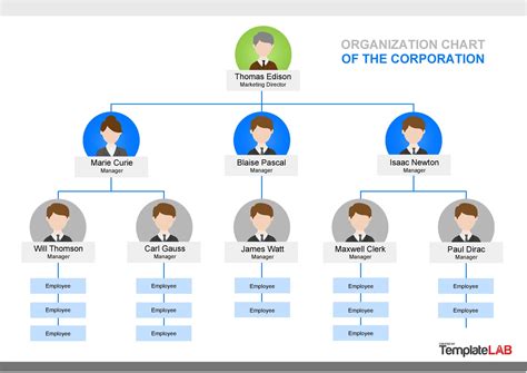 Download Organizational Chart Organization Chart Org Chart