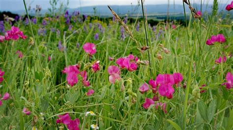 Глаза поили душу красотой с Творческое пространство Даши Ма ВКонтакте