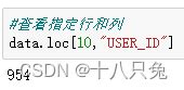 Python利用Pandas读取数据查询指定条件的数据以及数据的详细信息 pandas查看某一列的值及数量 CSDN博客