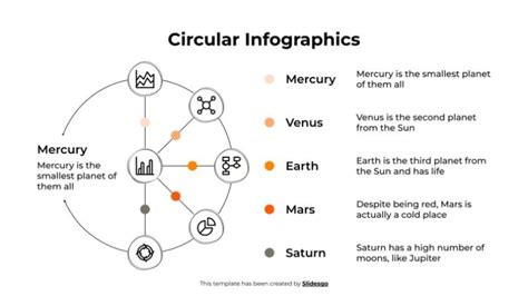 Circular Infographics Template
