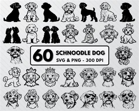 Schnoodle Dog Svg Silhouette Clipart Puppy Vector Art Digital