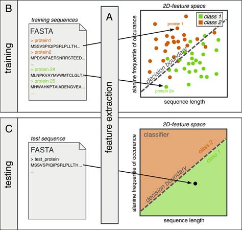 Protein Classification A Feature Extraction Maps Protein Sequences To Download Scientific