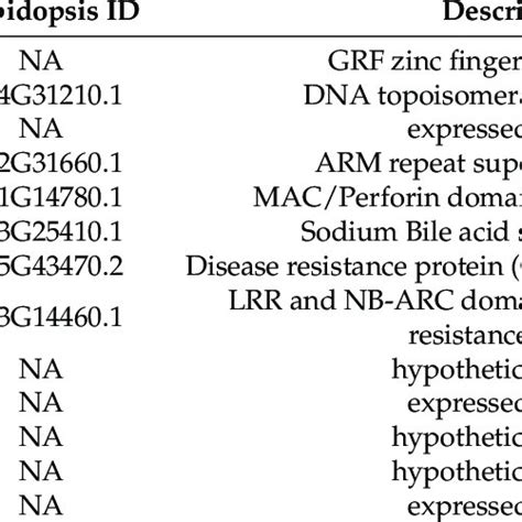 Uvm Verification Environment For I2c Protocol Download Scientific Diagram