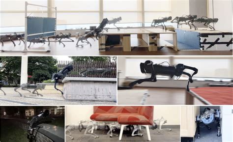 Can Low Cost Quadrupedal Robots Master Parkour Unveiling A