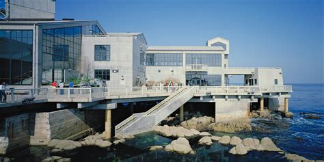 Monterey Bay Aquarium Packages