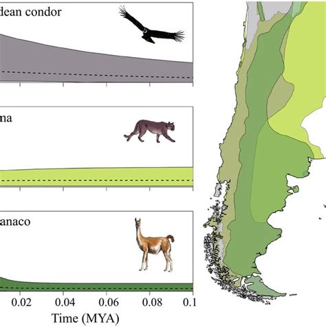 Extended Bayesian Skyline Plots Illustrating Female Effective