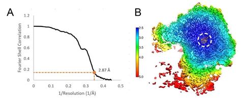Fourier Shell Correlation Curve For The Cryo EM Structure Of E Download Scientific Diagram
