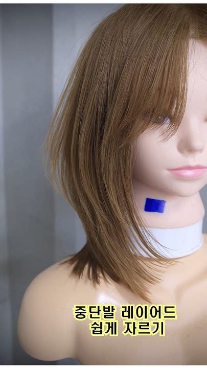 ️중단발 쉽게 자르기 중단발레이어드컷 중단발 중단발레이어드 미용기초 미용교육 미용자격증 커트교육 커트교육 여자머리교육 Youtube