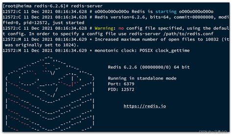 Redis安装与启动（Linux版本）_linux redis 启动-CSDN博客